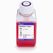 Neurobasal®A Medium 500ml - 炼石商城