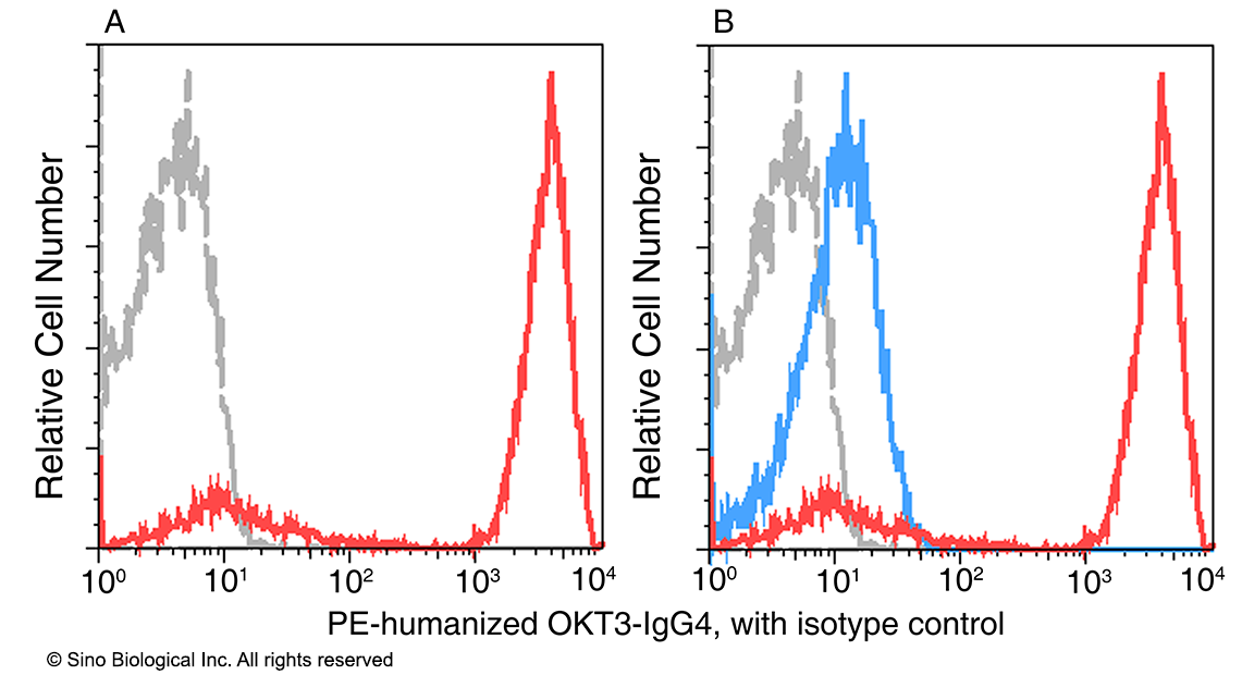 Human CD3 (humanized OKT3) Antibody-Human IgG4 (GMP-grade) 100μg - 炼石商城