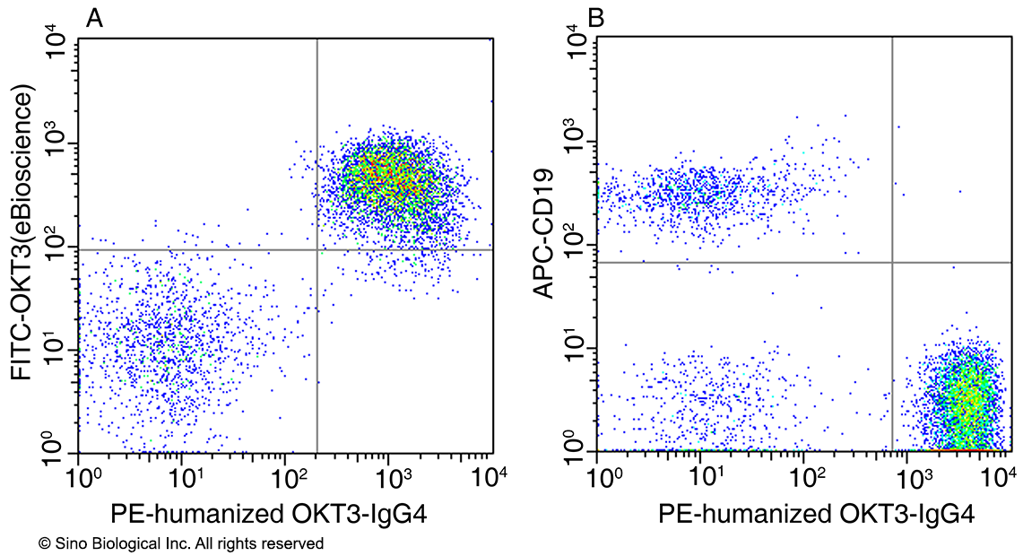 Human CD3 (humanized OKT3) Antibody-Human IgG4 (GMP-grade) 100μg - 炼石商城
