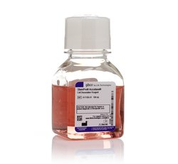 StemPro™ Accutase™ Cell Dissociation Reagent 100mL - 炼石商城