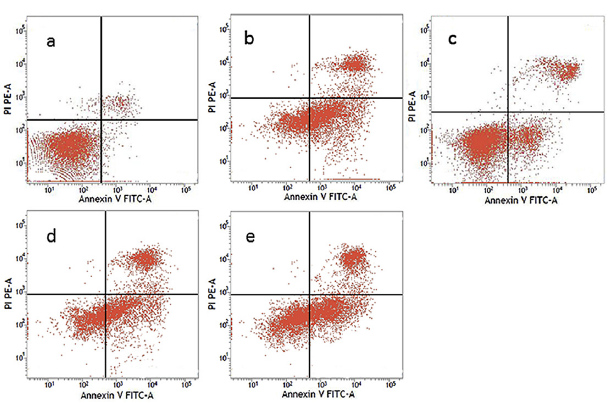 Annexin V-FITC/PI Apoptosis Detection Kit 50T - 炼石商城