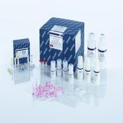 EpiTect Fast DNA Bisulfite Kit ：快速亚硫酸氢盐转化试剂盒 200次 - 炼石商城