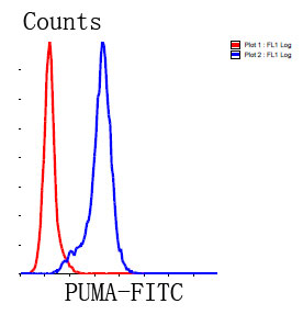 PUMA Rabbit Polyclonal Antibody 50μl - 炼石商城