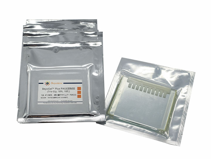 BeyoGel™ Plus PAGE预制胶(Tris-Gly, 10%, 10孔) 10块 - 炼石商城