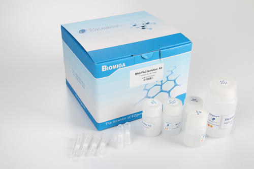 大型质粒（BAC/PAC）质粒小量提取试剂盒 50T - 炼石商城