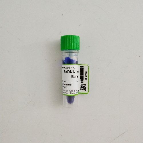 6×DNA Loading Buffer 5ml - 炼石商城