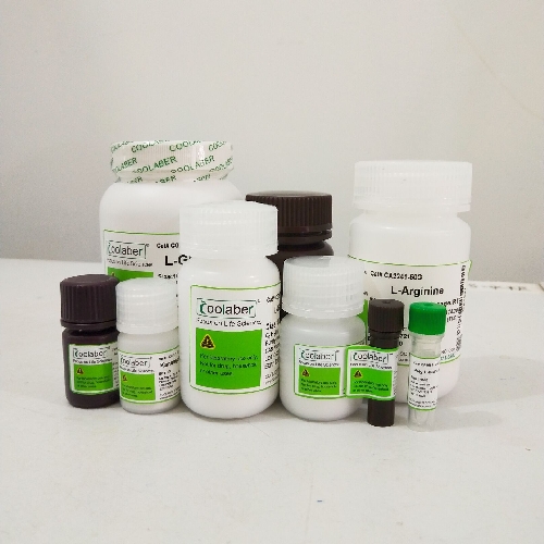 壳聚糖/甲壳质（脱乙酰度95%） Reagent Grade,viscosity 50-800 mPa.s 500g - 炼石商城