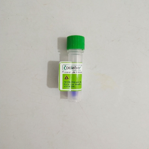 200bp DNA Ladder 250次 - 炼石商城