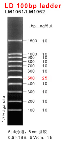 LD 100bp ladder 60次×3 - 炼石商城