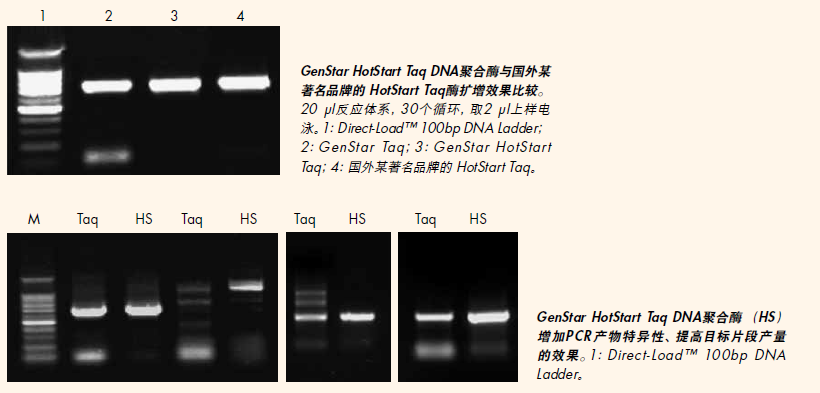 HotStart Taq DNA Polymerase 250U×10 - 炼石商城