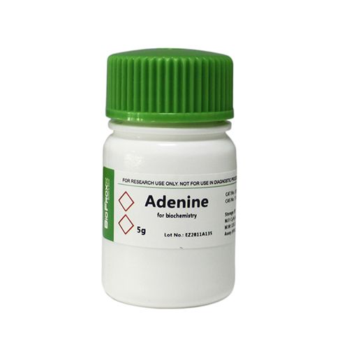腺嘌呤 Adenine 5g - 炼石商城