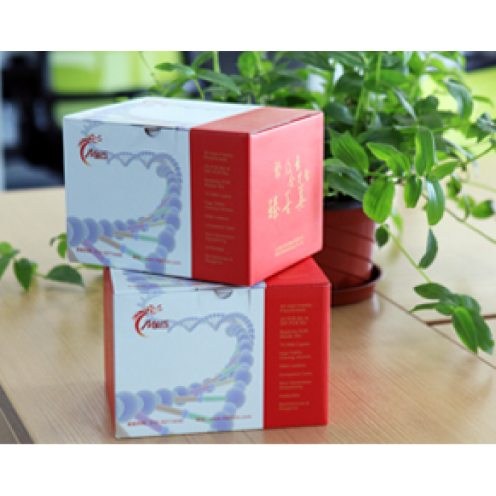 M5 HiPer Oli5Green ssDNA Assay Kit (1000 assays) 10x100 μL - 炼石商城