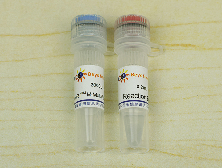 BeyoRT™ M-MuLV反转录酶 (RNase H-) 2000U - 炼石商城
