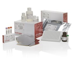 QuantiGene™ Singleplex Assay Kit 50x96-well plates - 炼石商城