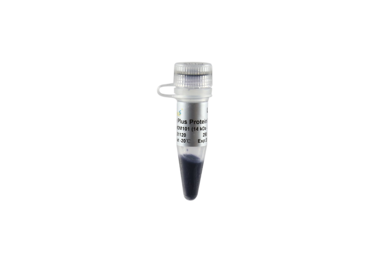 Blue Plus® Protein Marker (14-100 kDa) 2×250 μl - 炼石商城