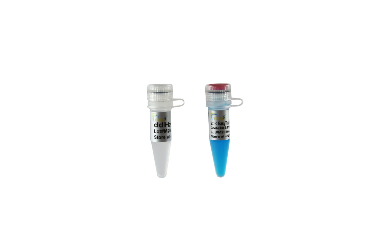 2×EasyTaq® PCR SuperMix (+dye ) 6×80 ml - 炼石商城