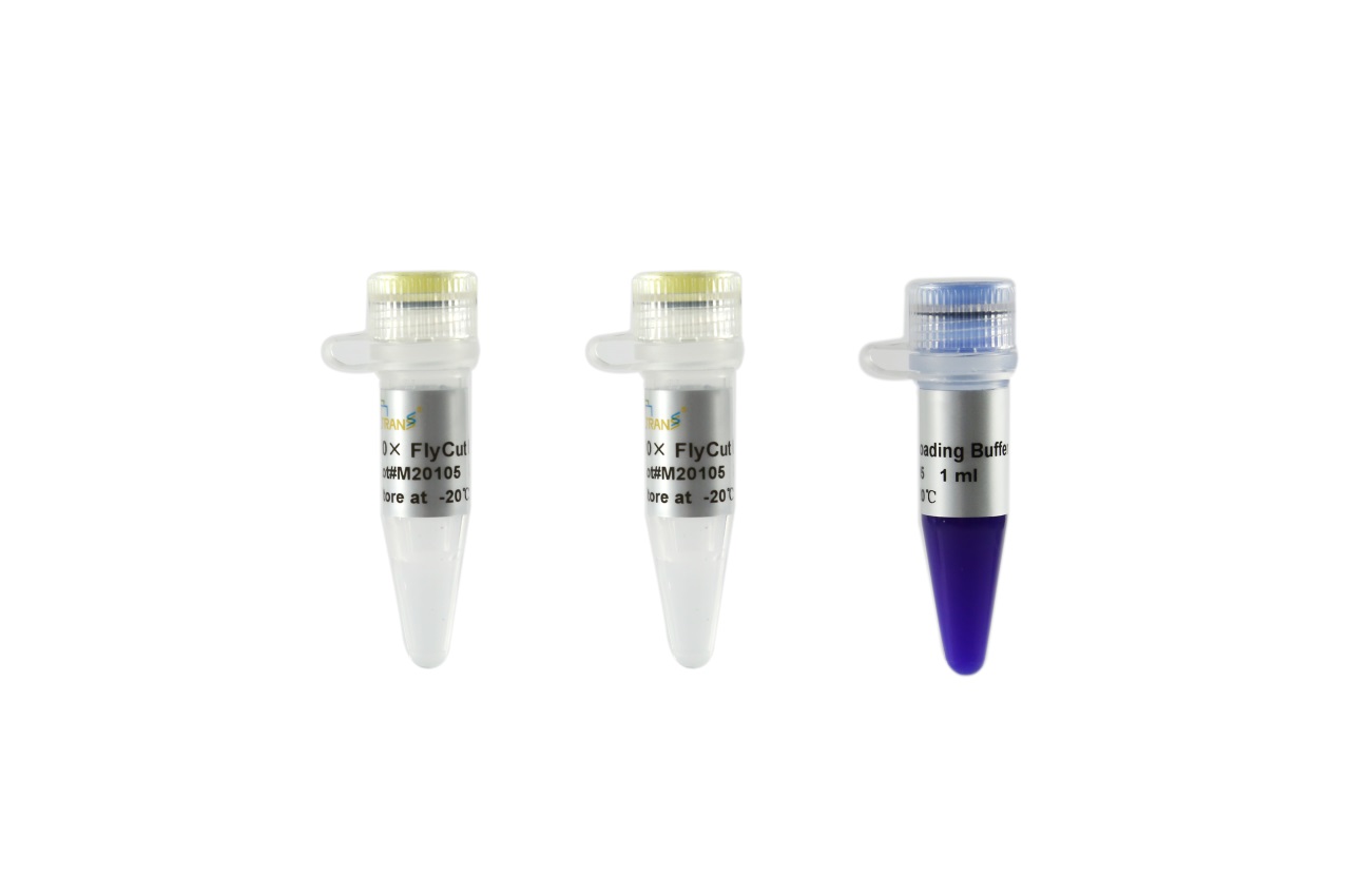 FlyCut® BamHI 5000 units - 炼石商城