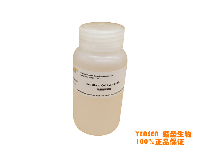 Red Blood Cell Lysis Buffer 250ml - 炼石商城