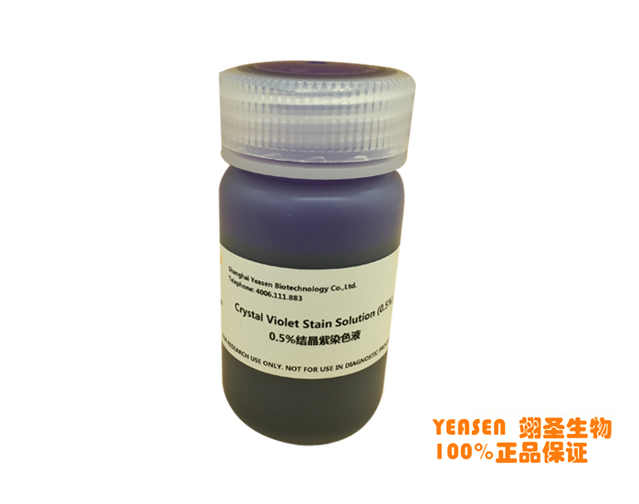 Crystal Violet Stain Solution (0.5%) 100ml - 炼石商城