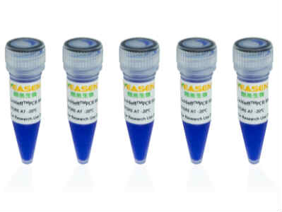 2×Hieff™ PCR Master Mix (With Dye) 5×1ml - 炼石商城