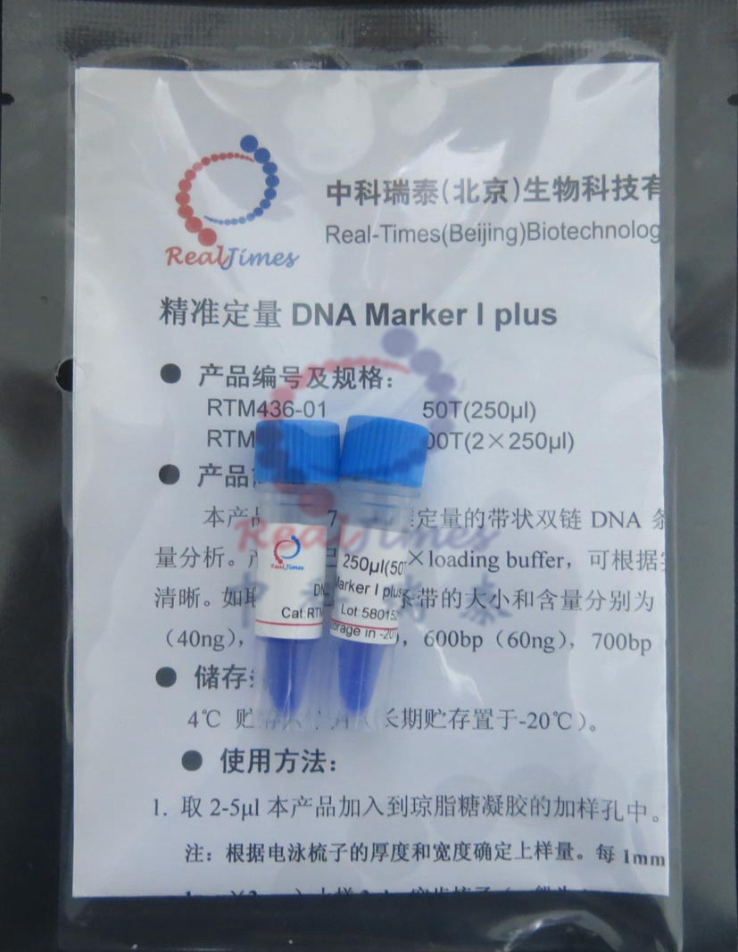 DNA Marker I plus 100次 - 炼石商城