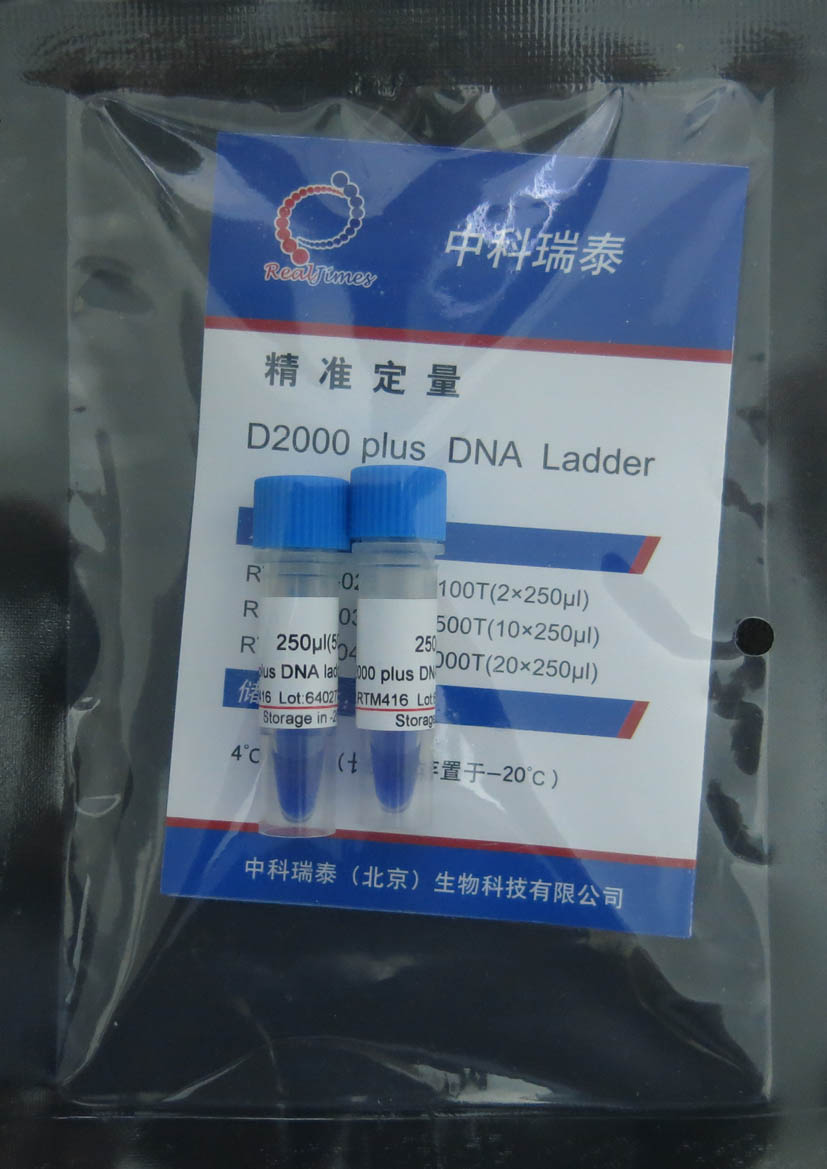 D2000 plus II DNA ladder 100次 - 炼石商城